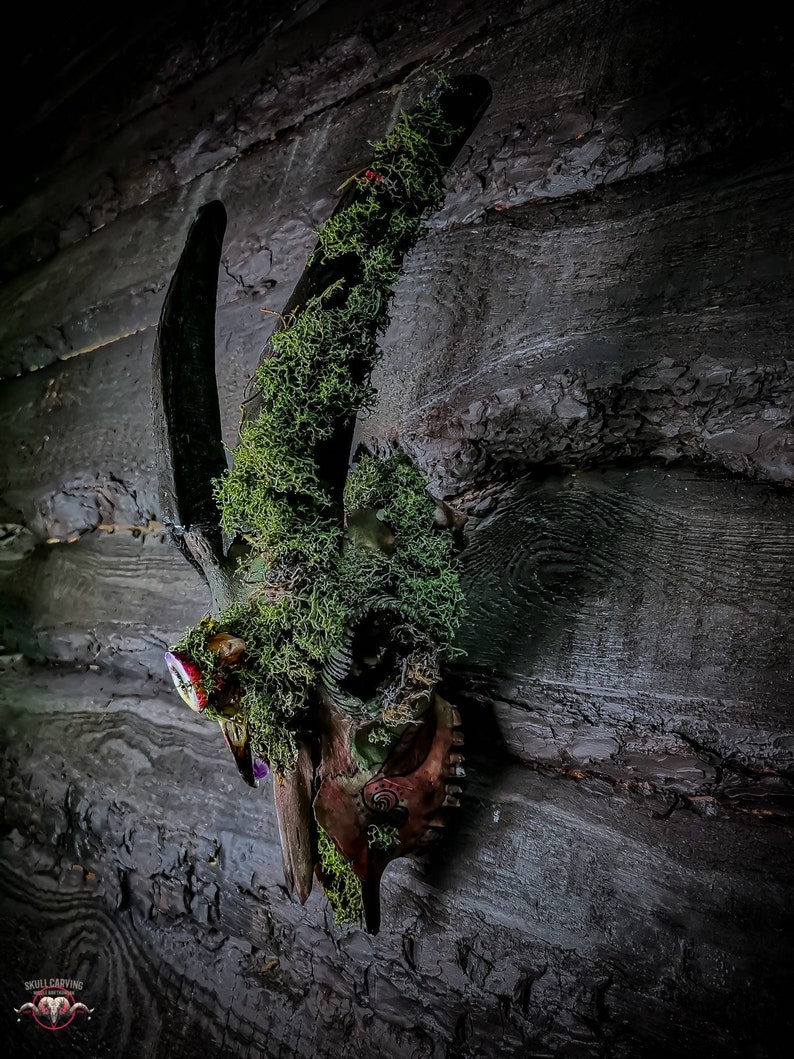 Made to Order Real Goat Bird Skull Antlers Decoration With | Etsy