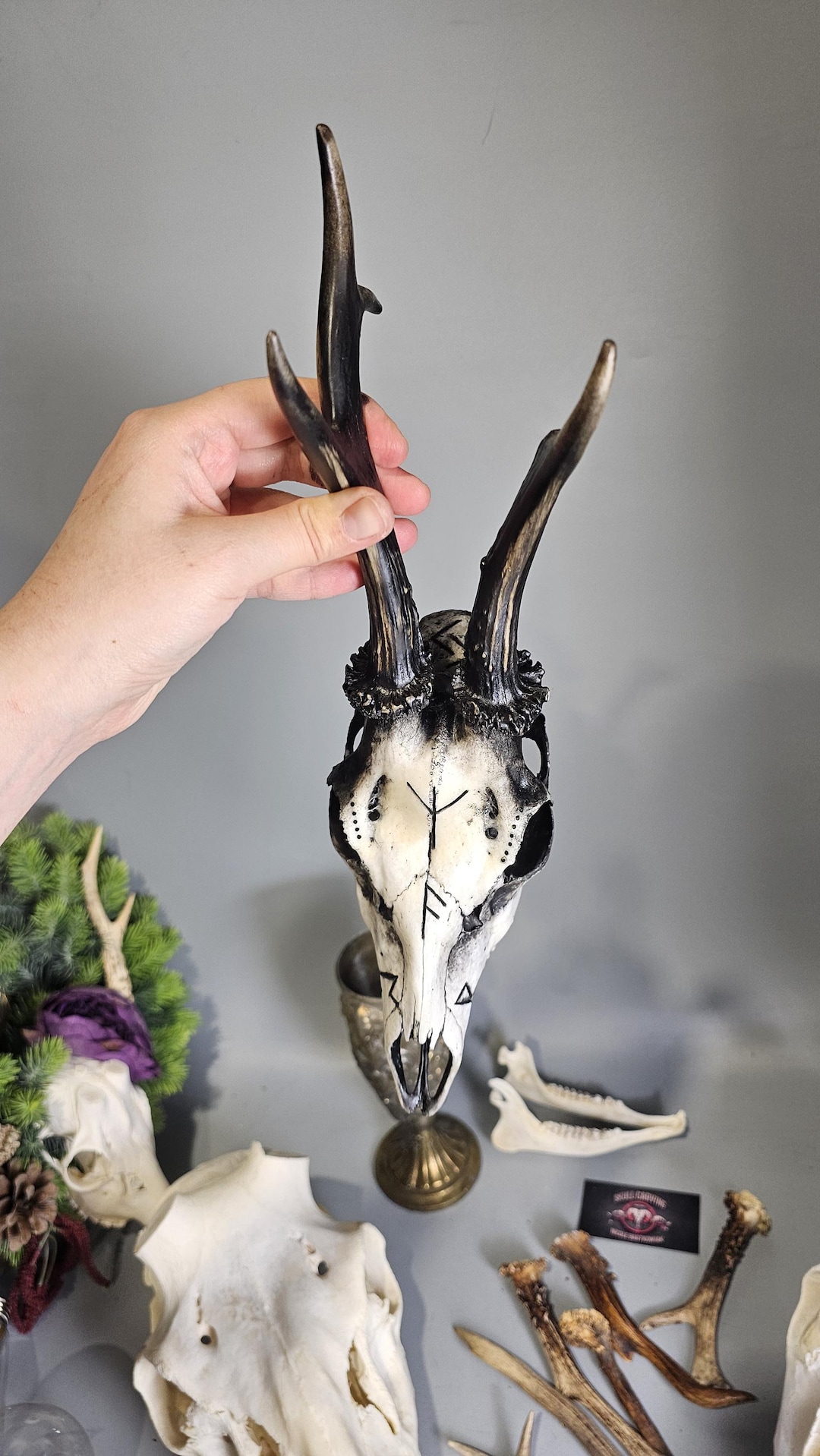 Real Roe Deer Skull Art With Engraved Design and Algiz Rune Aged Gray ...