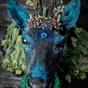 Made to Order Custom "eden" Beautiful Turquoise Roe Deer Taxidermy ...