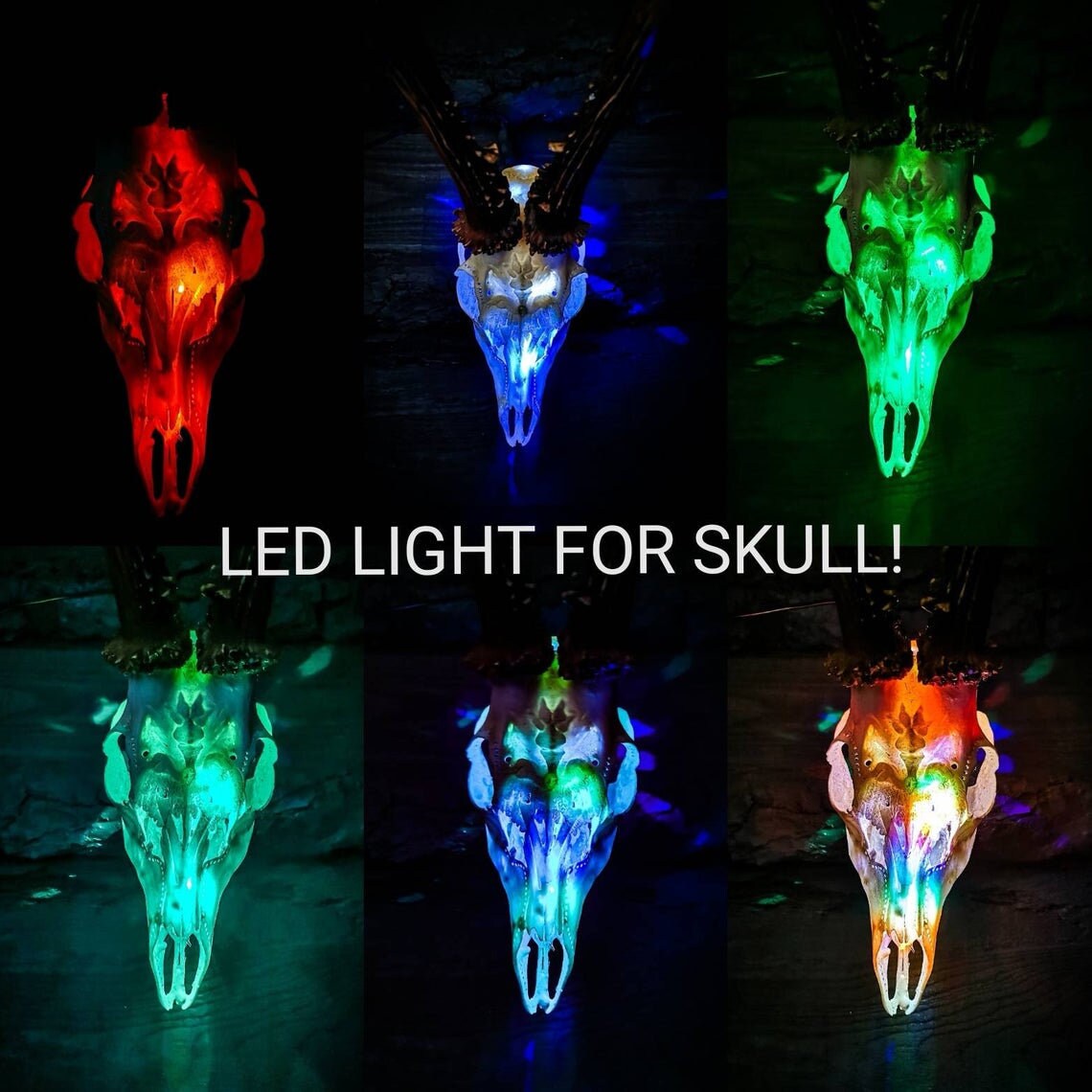 Made to Order Roe Deer Skull Engraved Art Huge Impressive Rose | Etsy