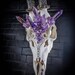 Made to Order Real Roe Deer Skull With Amethyst Crystals Stones Lower ...