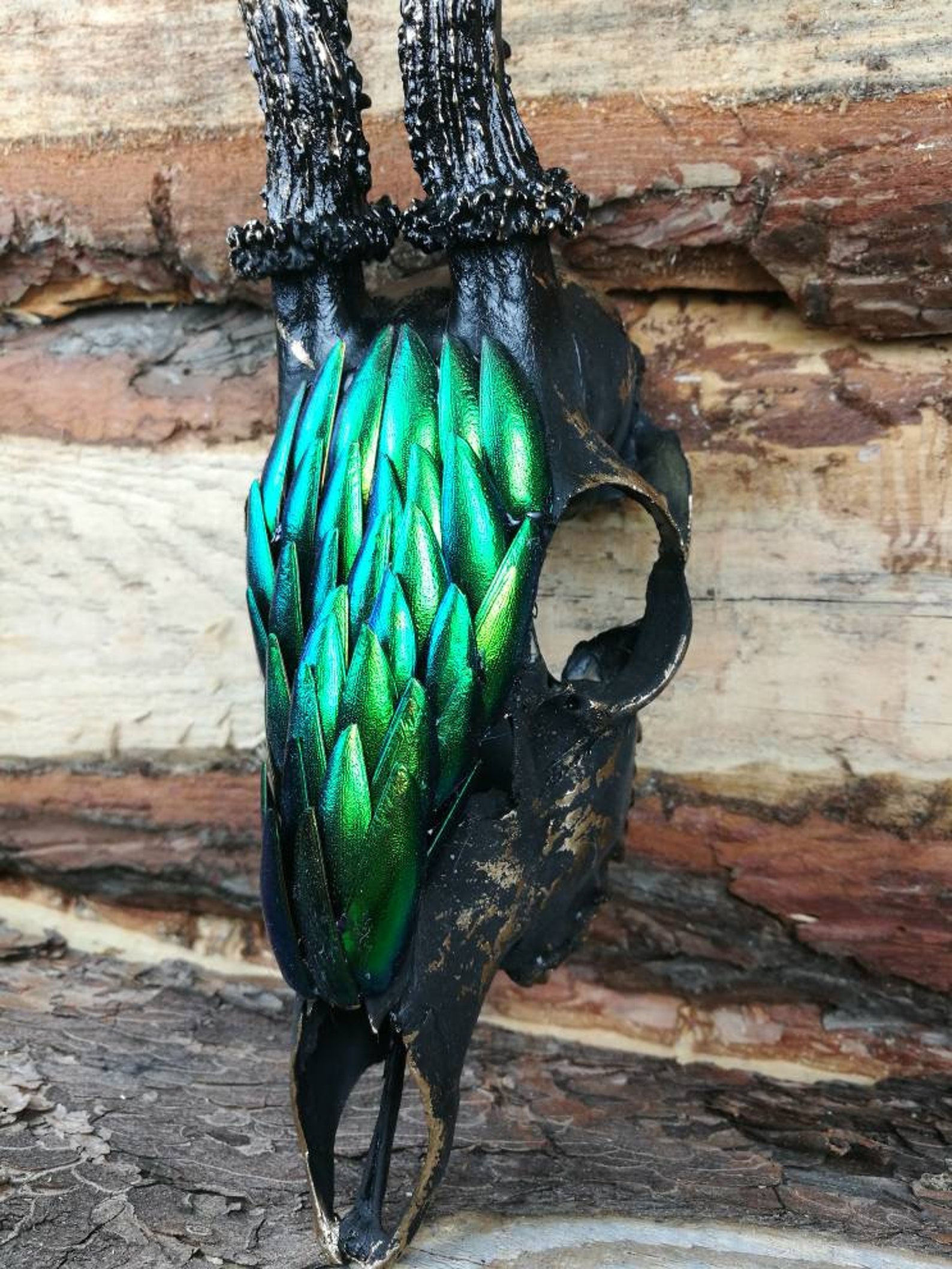 Real Roe Deer Skull Covered With Elytra Beetle Wings Dragon - Etsy