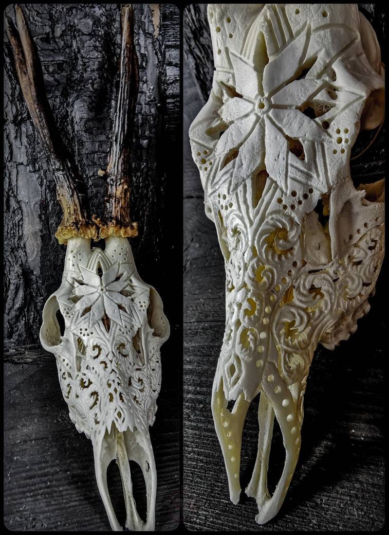 MADE TO ORDER Rare Roe Deer Skull Engraved Art Huge Impressive | Etsy