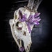 Made to Order Real Roe Deer Skull With Amethyst Crystals Stones Lower ...