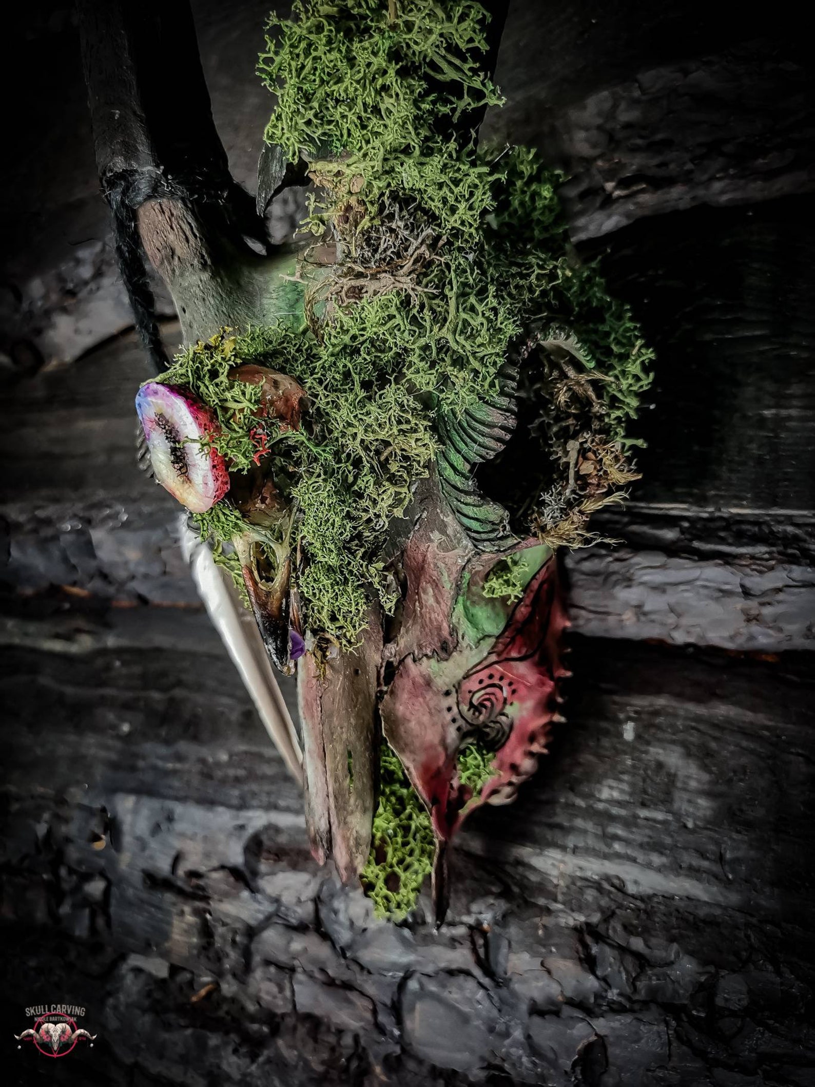 Made to Order Real Goat Bird Skull Antlers Decoration With | Etsy