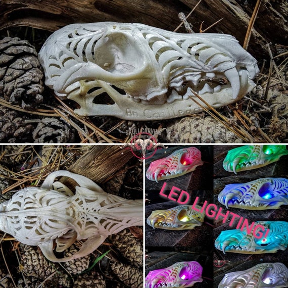 MADE TO ORDER Real Fox Skull With Hand Engraved Design Spiders | Etsy