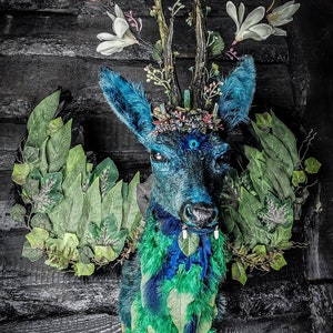 Made to Order Custom "eden" Beautiful Turquoise Roe Deer Taxidermy ...