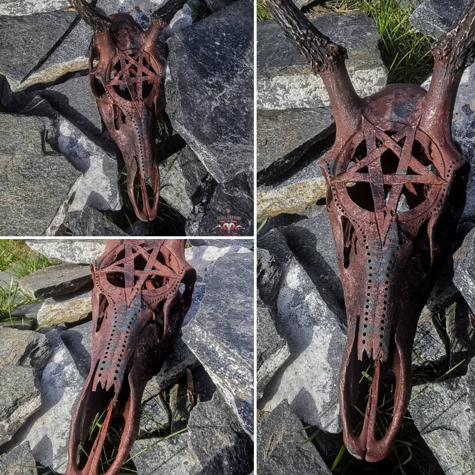 MADE TO ORDER Huge Real Deer Skull With Engraved Pentagram | Etsy