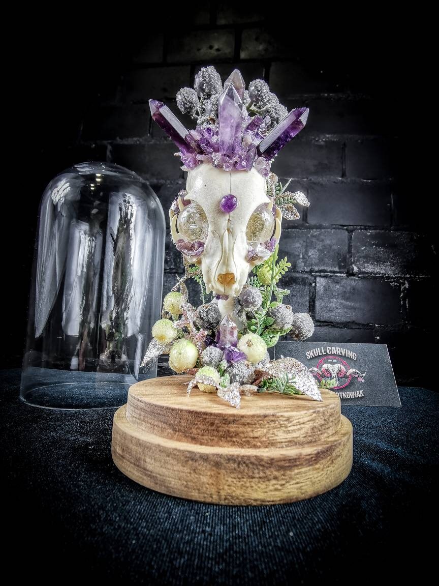 Made to Order. Real Skull With Amethyst Crystals Stones Gift - Etsy