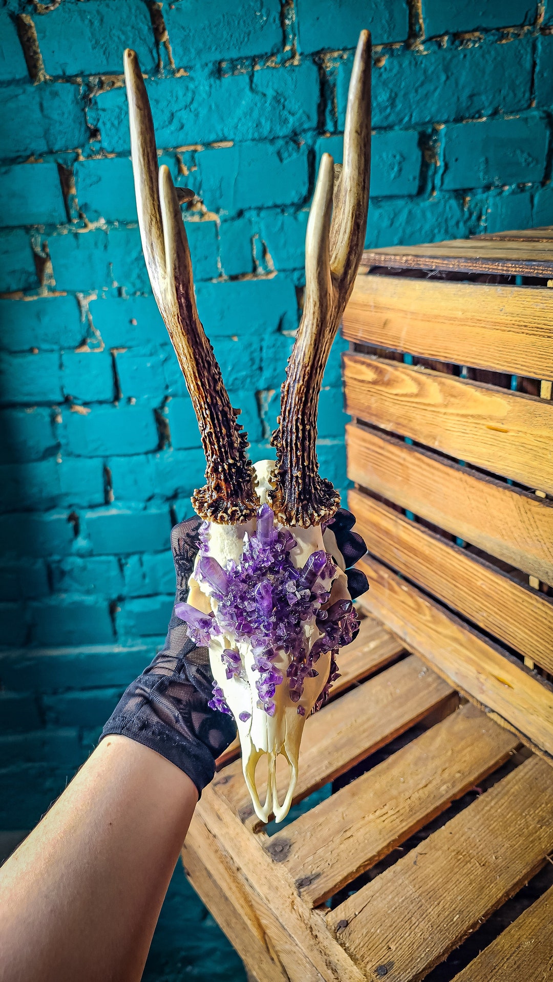 Amethyst Crystal Roe Deer Skull: Wicca Witch Altar Decor - Etsy