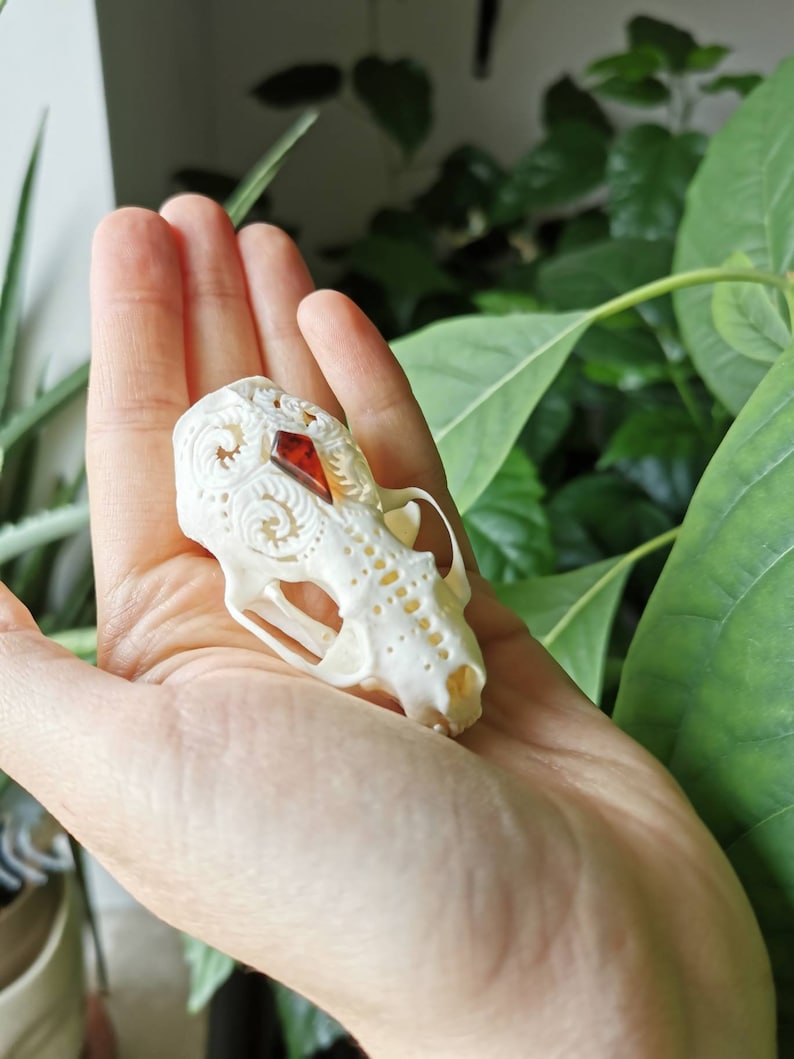 MADE TO ORDER American Mink Skull With Engraved Design - Etsy