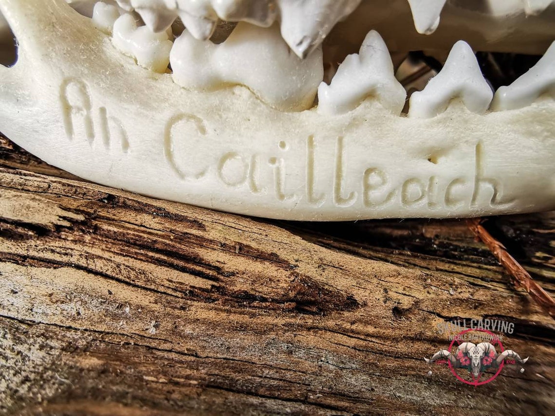 MADE TO ORDER Real Fox Skull With Hand Engraved Design Spiders | Etsy
