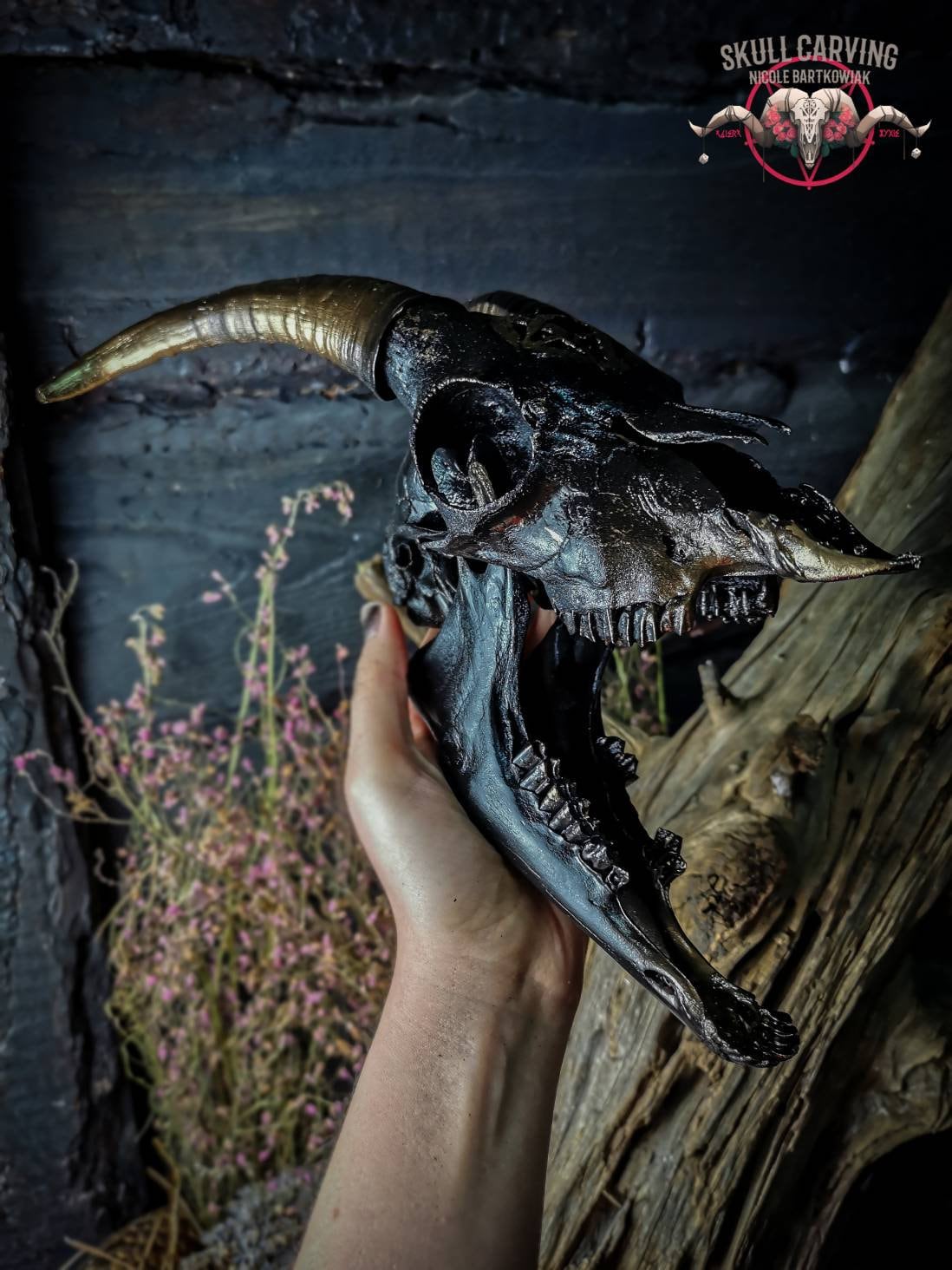 MADE TO ORDER Real Young Goat Skull With Pentacle Pentagram | Etsy