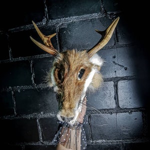 Made to Order Creepy Horned Real Red Fox Skull With Green Eyes Fur Ears ...