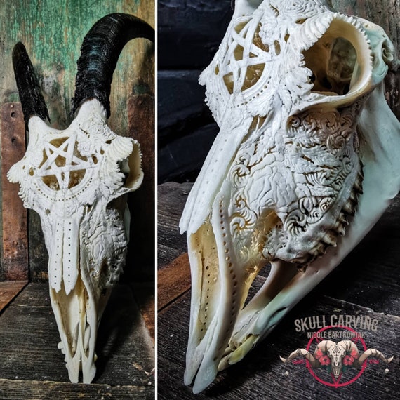 Evil Ram Skull Drawing