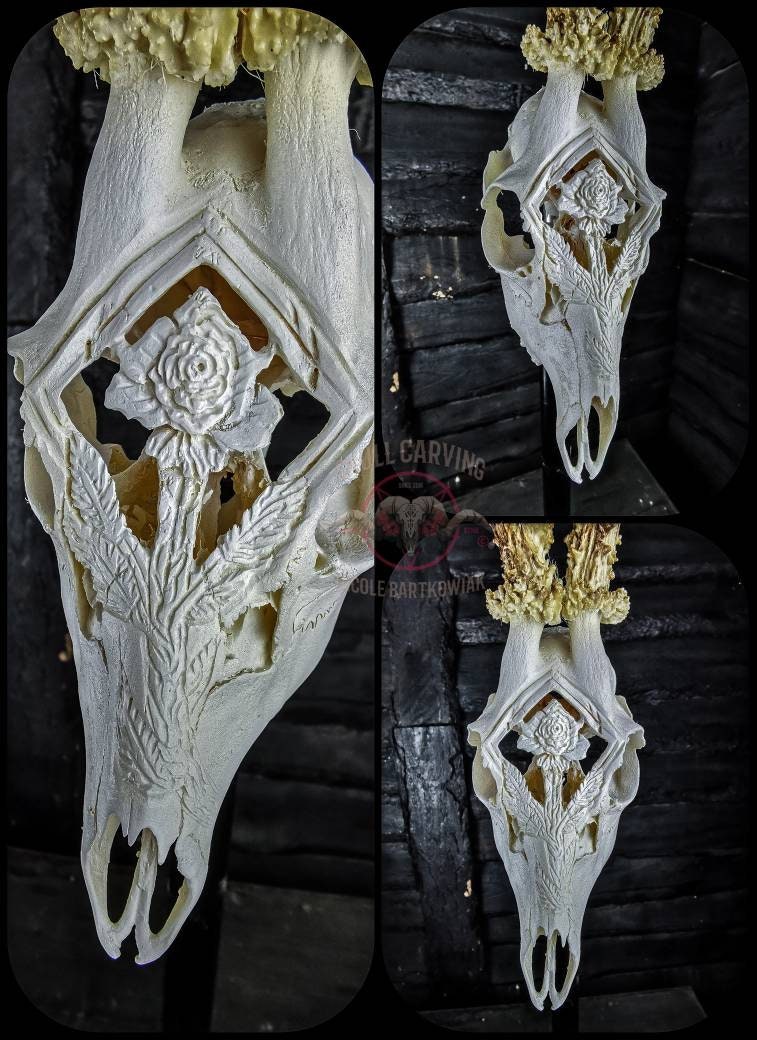 Made to Order Roe Deer Skull Engraved Art Huge Impressive Rose | Etsy