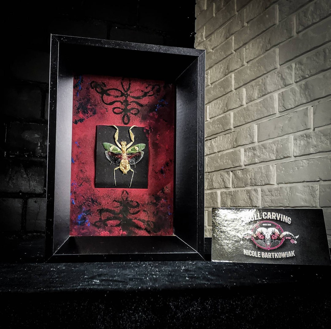 Made to Order Mantis in the Frame 3D Hand Painted Background Red Gothic ...
