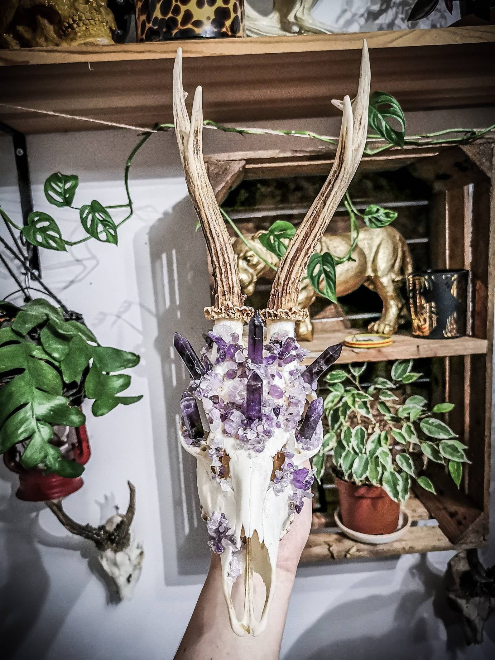 Amethyst Crystal Roe Deer Skull: Wicca Witch Altar Decor - Etsy