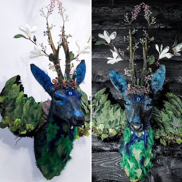 Deer Head Taxidermy - Etsy