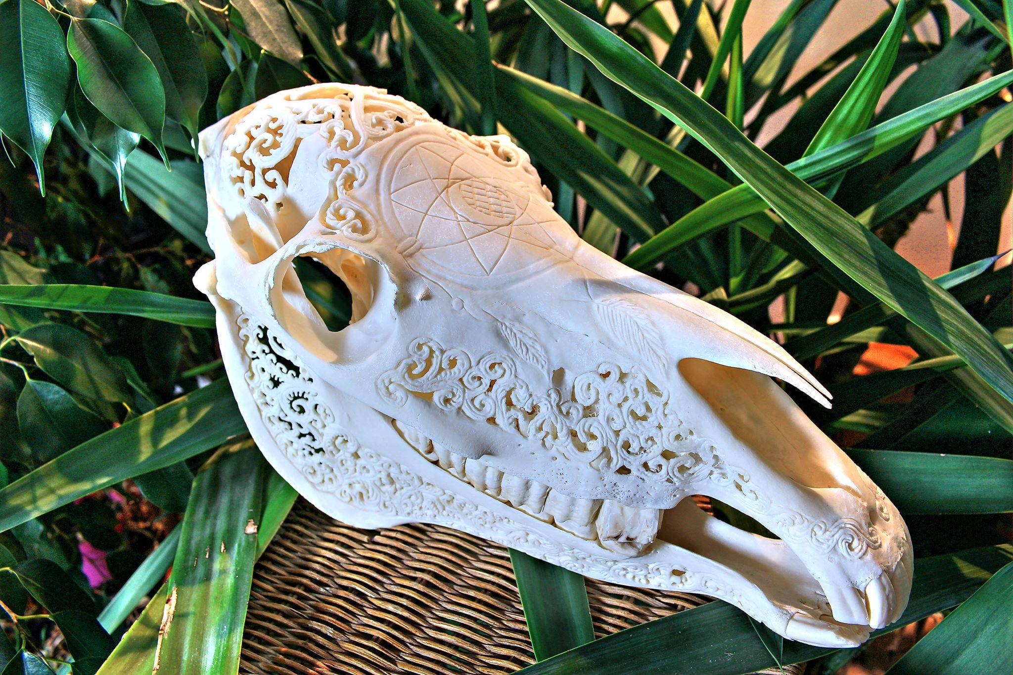 Made to Order Horse Skull Hand Carved Carving Real Bone | Etsy