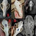 Real Fox Skull Engraved Design Filigree Ornaments Labradorite - Etsy