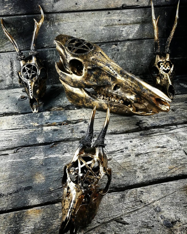 MADE TO ORDER Roe Deer Skull With Engraved Design Pentagram | Etsy
