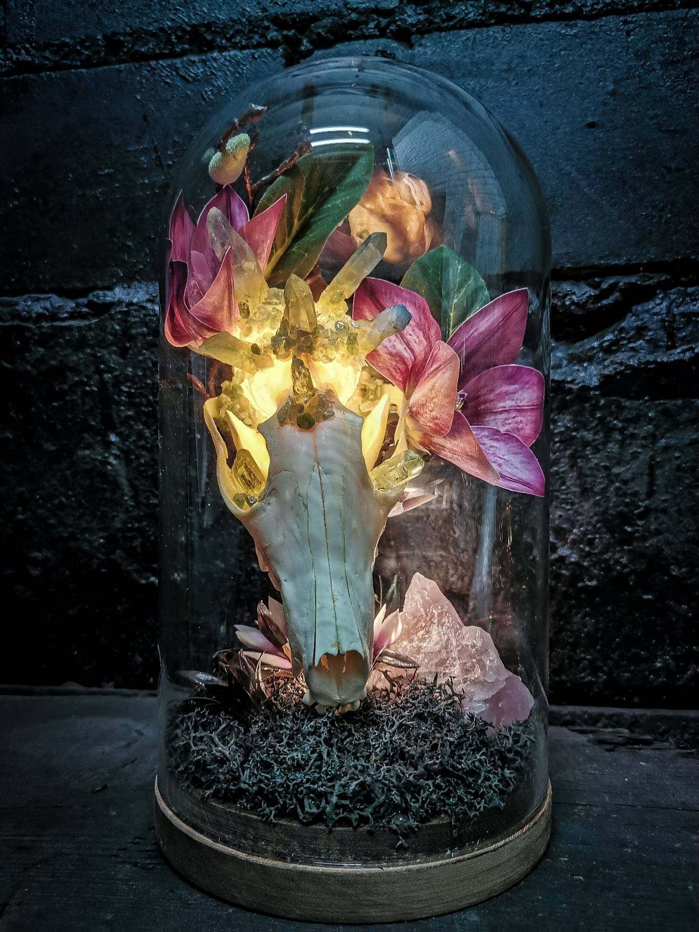 Made to Order Real Fox Skull With Green Quartz Ombre Crystals - Etsy