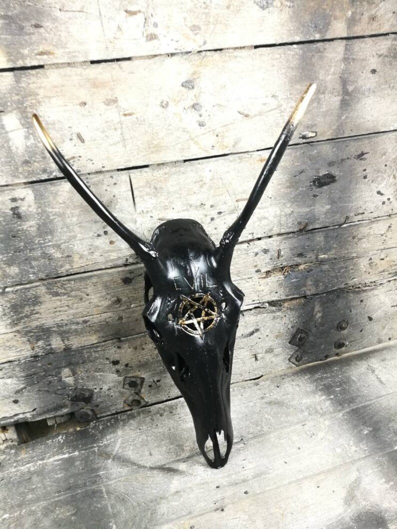 Made to Order Huge Deer Skull With Engraved Design Pentagram | Etsy