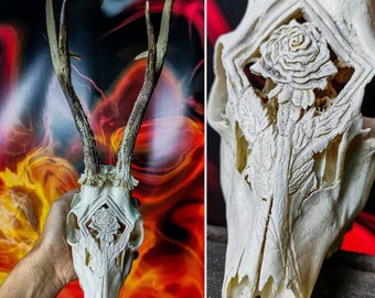 Made to Order Roe Deer Skull Engraved Art Huge Impressive Rose - Etsy