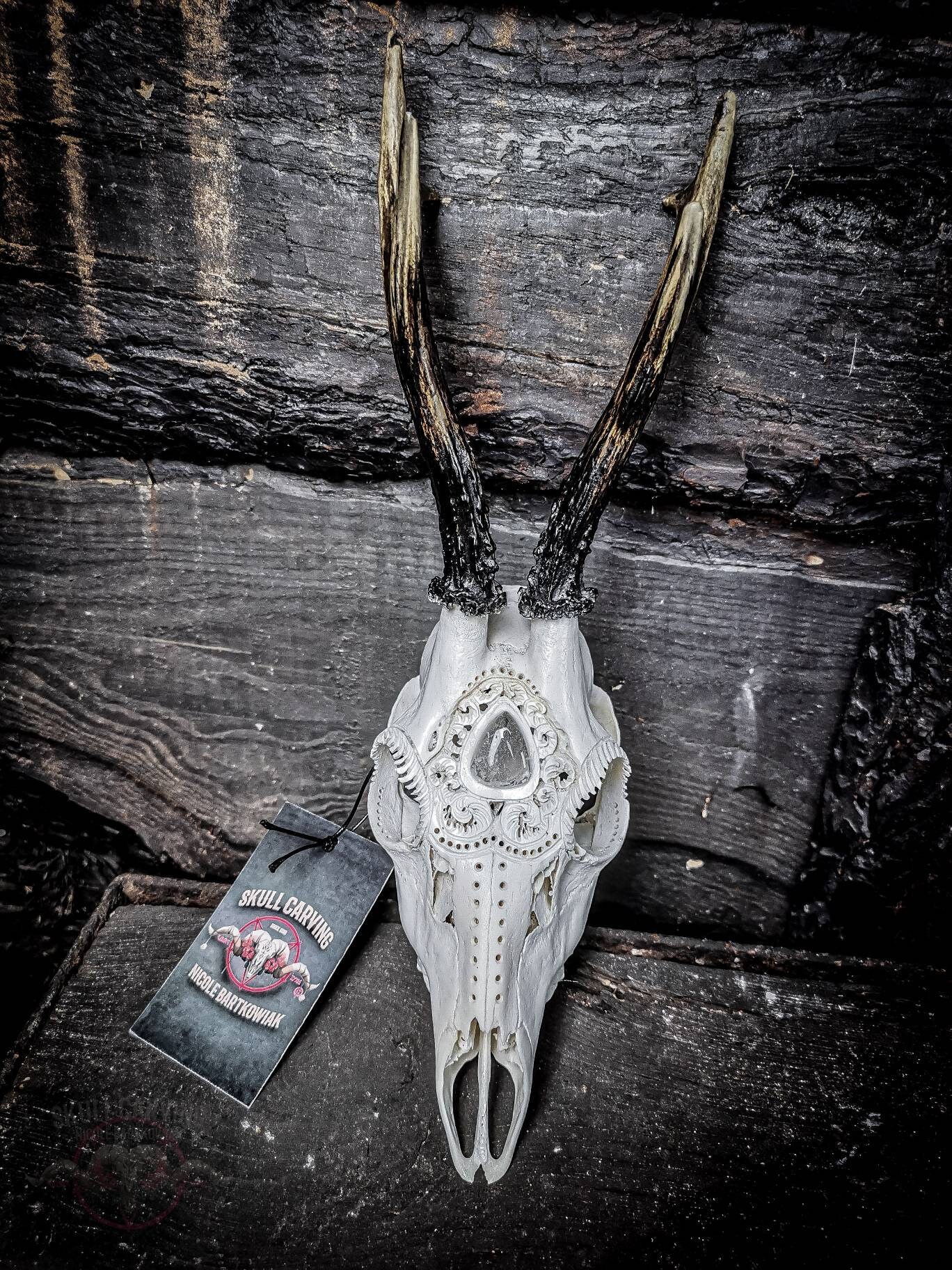 Made to Order Real Roe Deer Skull Engraved Design Beautiful - Etsy