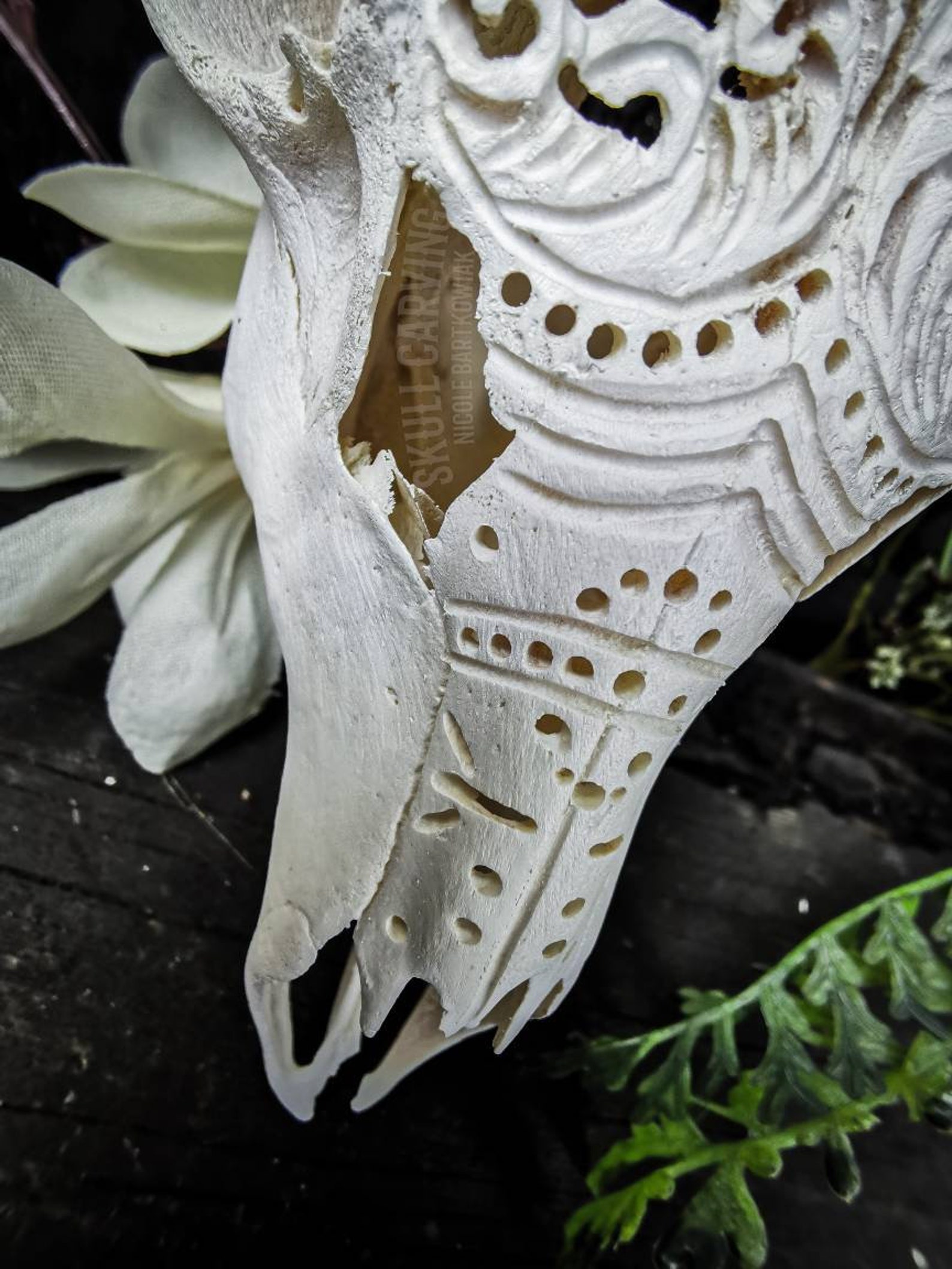 Made to Order Real Roe Deer Skull With Engraved Design and - Etsy