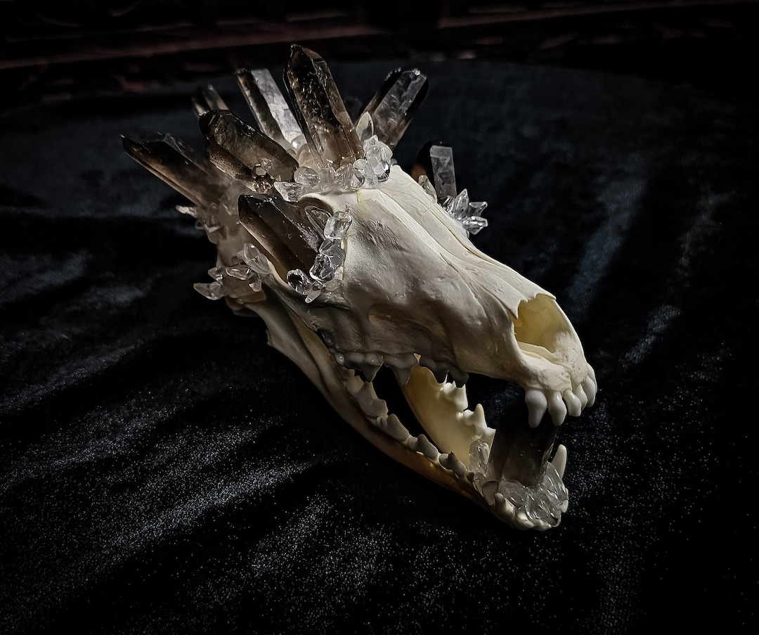 Made-to-order Crystal Fox Skull: Smokey Quartz, Unique Design - Etsy