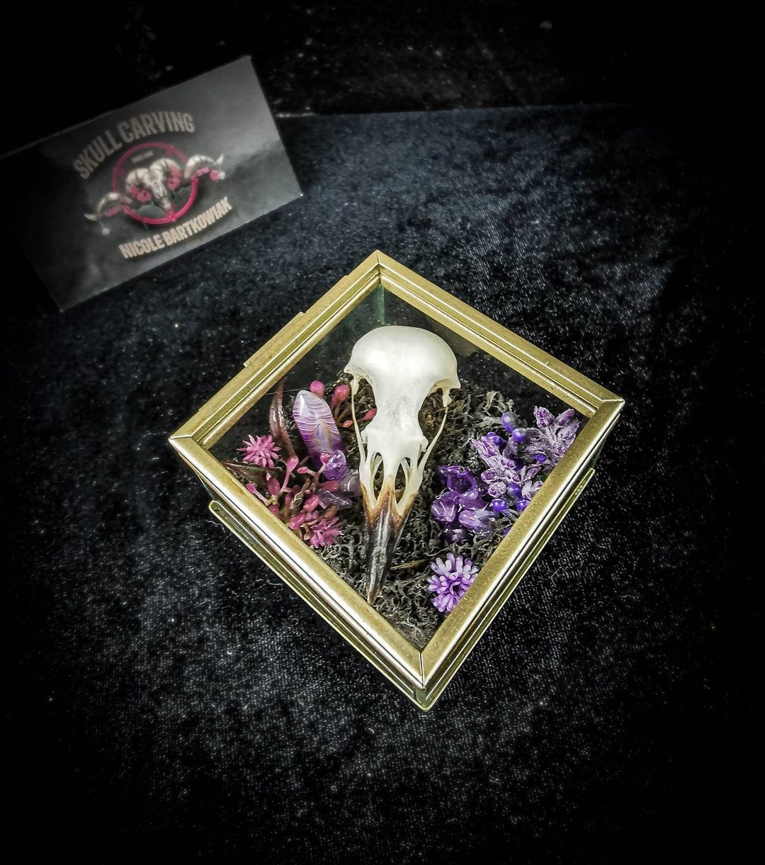 Real Animal Skull in Glass Box With Crystals Flowers, Golden Accent ...