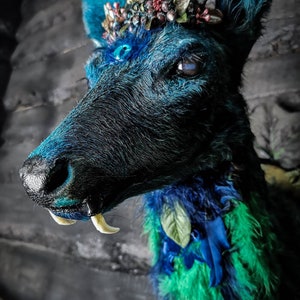 Made to Order Custom "eden" Beautiful Turquoise Roe Deer Taxidermy ...