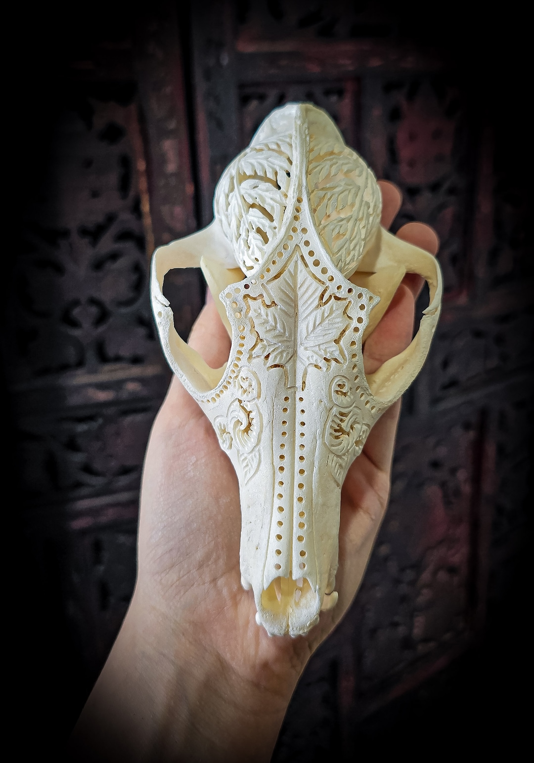 Real Fox Skull With Engraved Design Ornaments Maple Leaf Ferns - Etsy