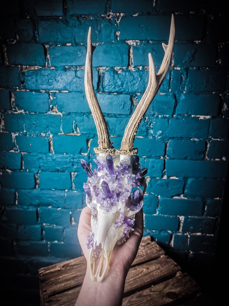 Amethyst Crystal Roe Deer Skull: Wicca Witch Altar Decor - Etsy