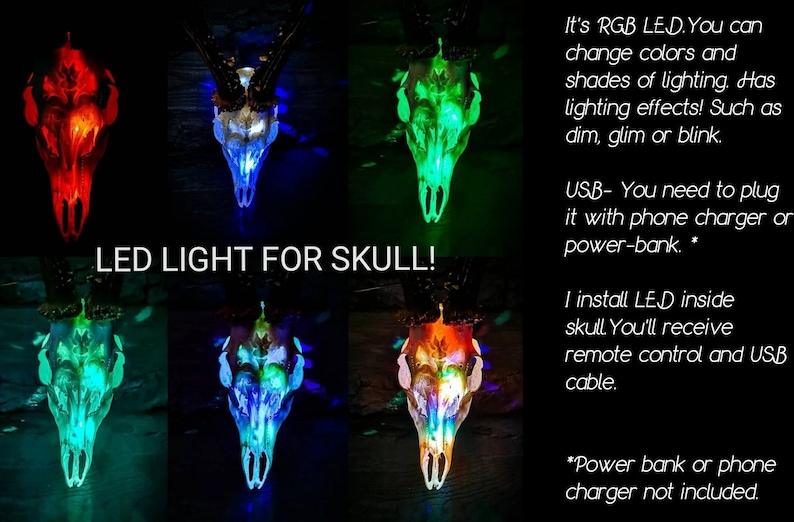 Engraved Fox Skull: Aegishjalmur, Vegvisir Runes, Labradorite, Norse ...