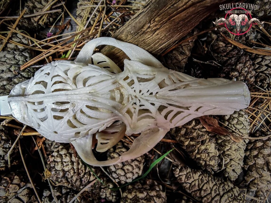 MADE TO ORDER Real Fox Skull With Hand Engraved Design Spiders | Etsy