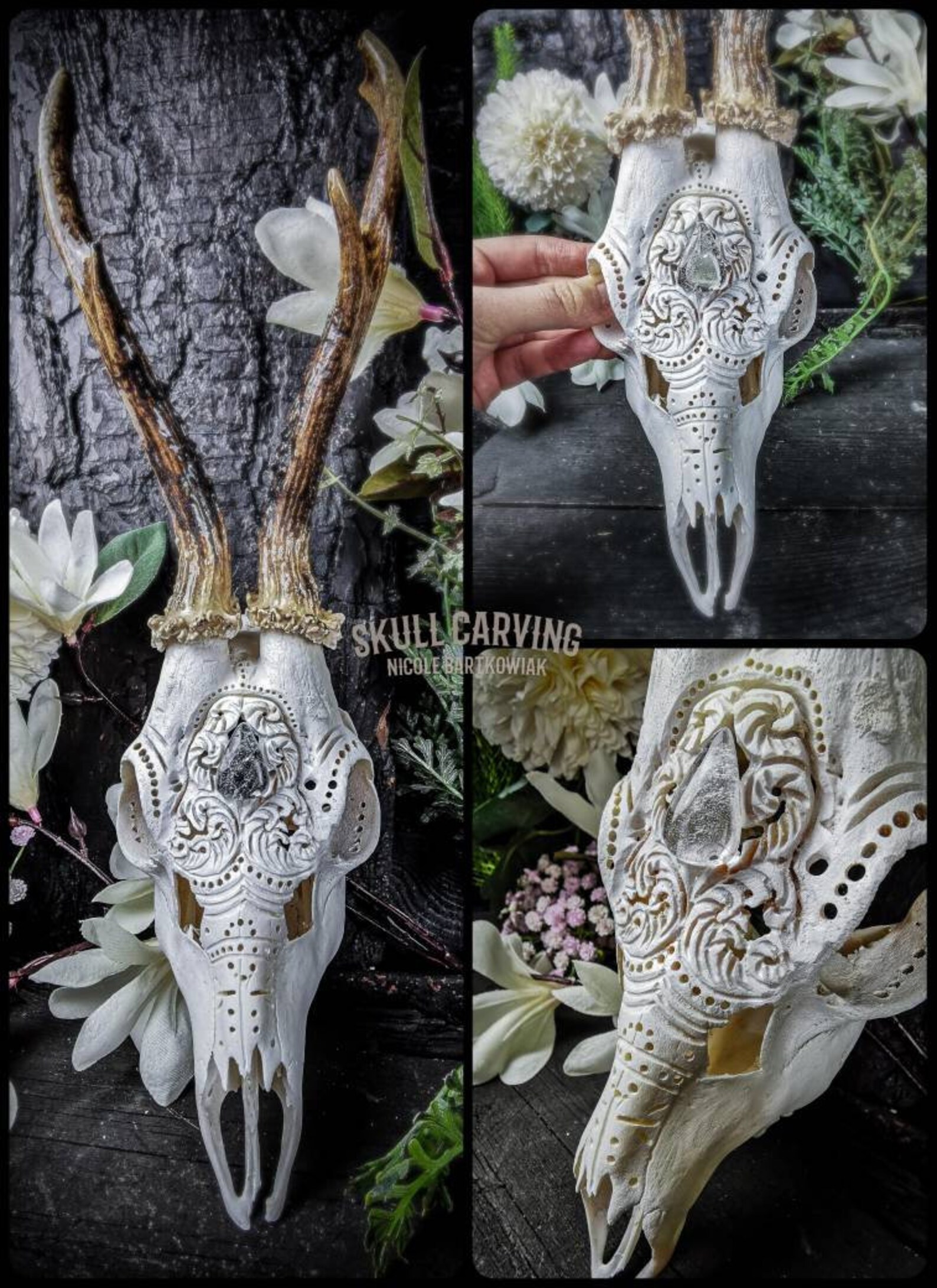 Made to Order Real Roe Deer Skull With Engraved Design and - Etsy