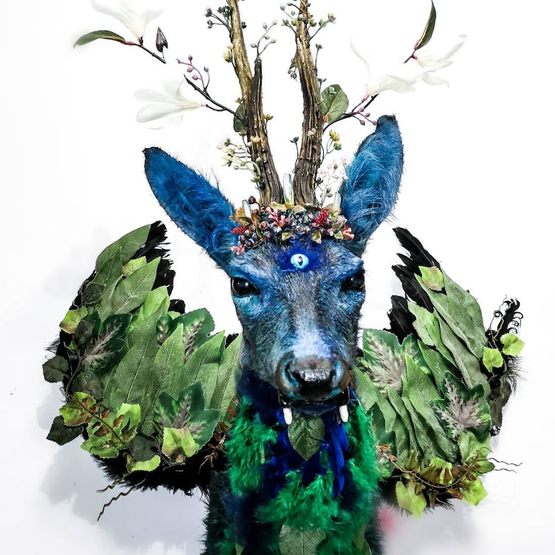 Weird Taxidermy Etsy