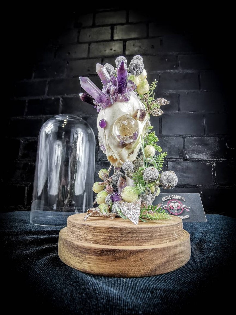 Made to Order. Real Skull With Amethyst Crystals Stones Gift - Etsy