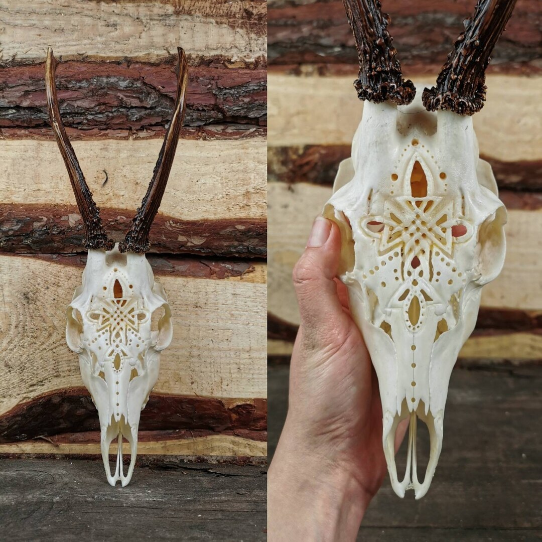 Engraved Roe Deer Skull: Celtic Knot Pagan Decor - Etsy