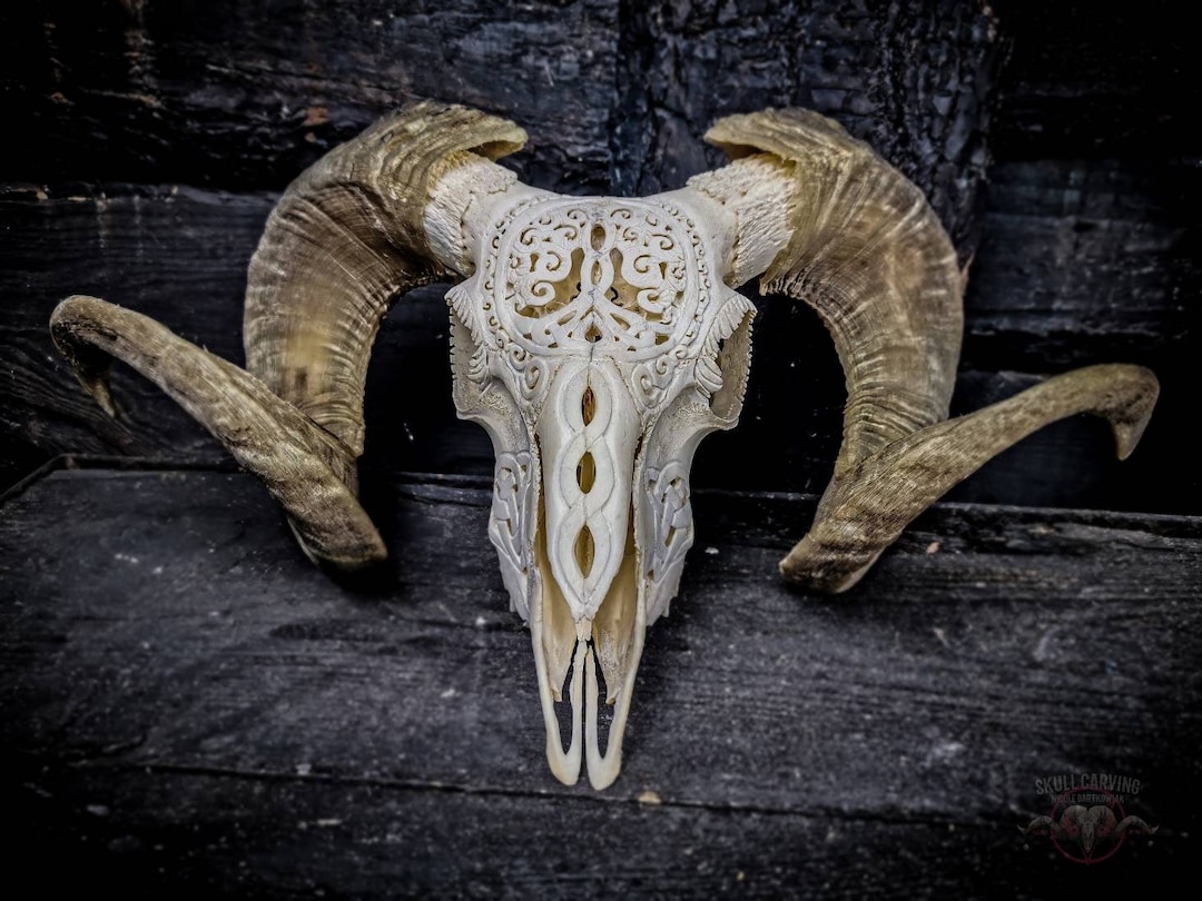 Engraved Ram Skull With Horns: Celtic Knot Tree of Life Ornament - Etsy