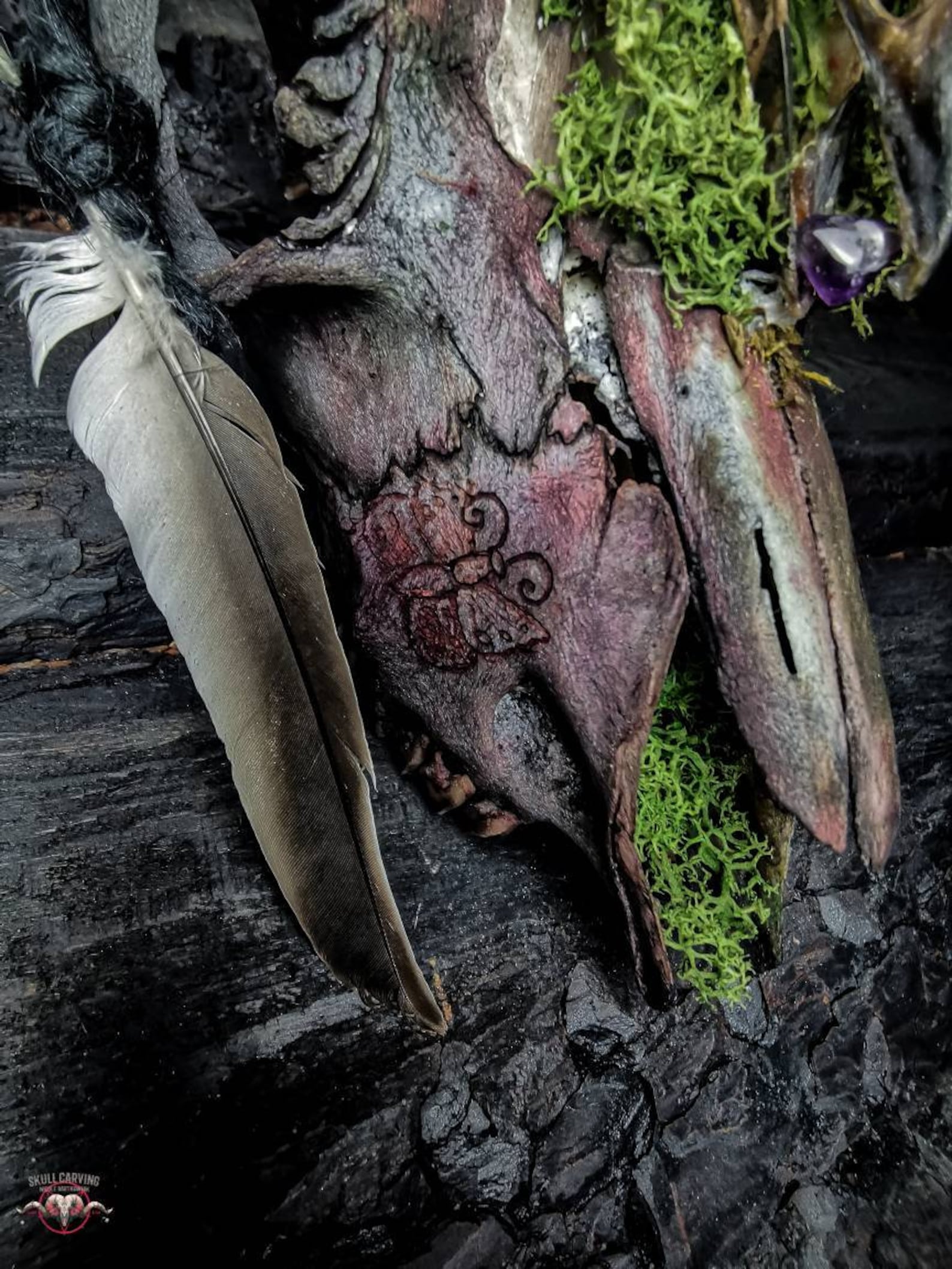 Made to Order Real Goat Bird Skull Antlers Decoration With - Etsy