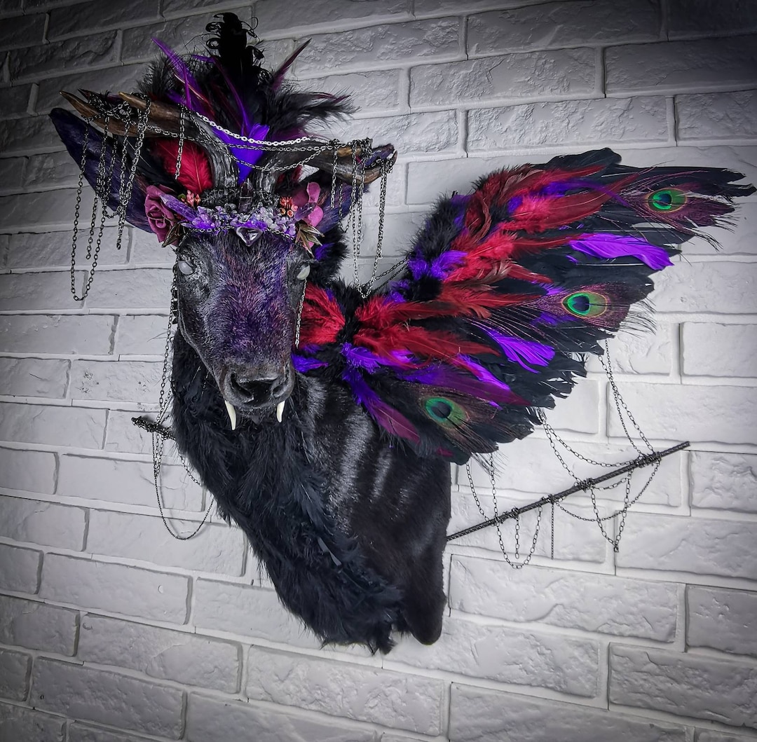 Real Roe Deer Wall Mount Taxidermy Art Winged Doe Amethyst Crystals ...