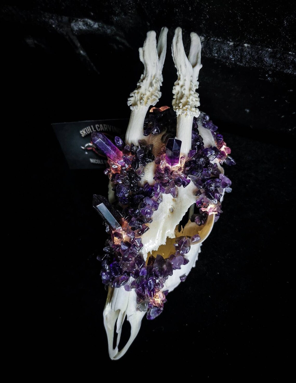 Real Roe Deer Skull Lamp: Amethyst & Labradorite Crystals, Vulture ...