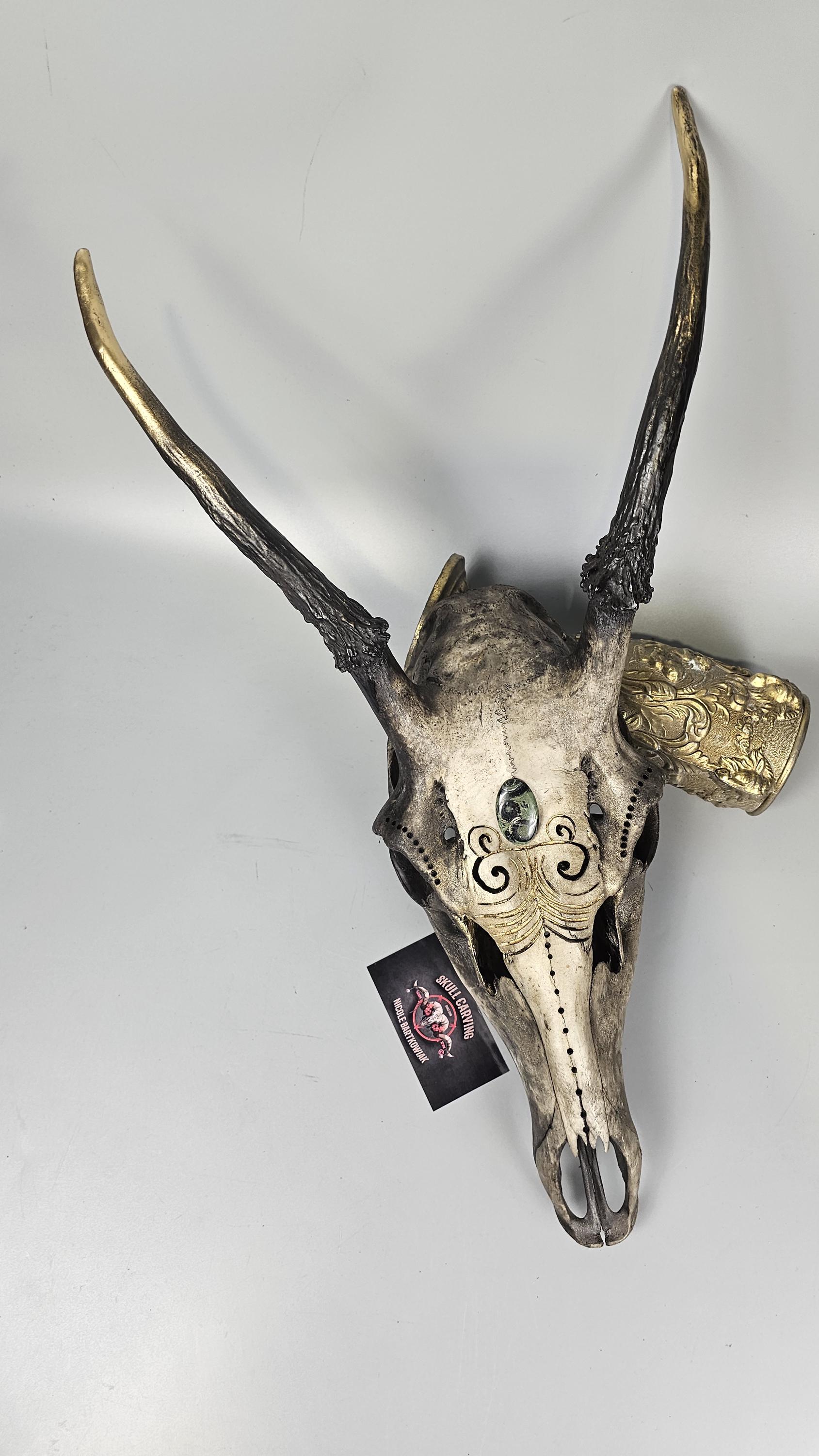 Carved Deer Skull With Short Antlers: European Mount, Stone Inlay - Etsy