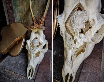 Made to Order Roe Deer Skull Engraved Art Huge Impressive Rose | Etsy