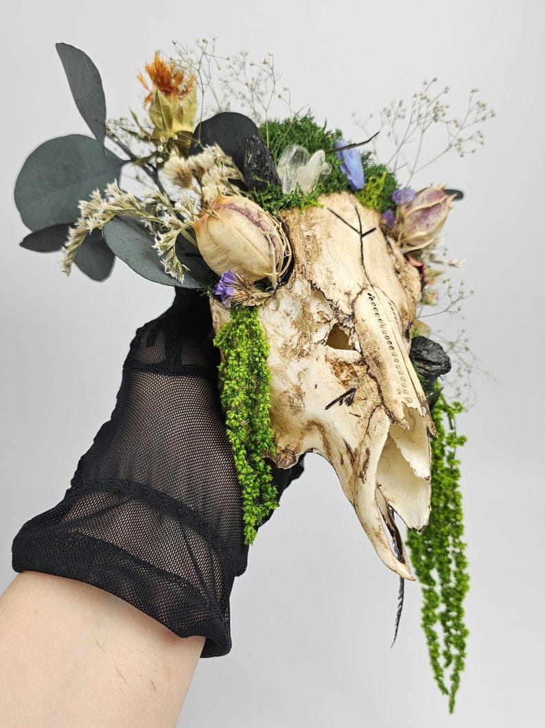 Engraved Roe Deer Skull Art With Moss, Agate & Rune - Etsy UK