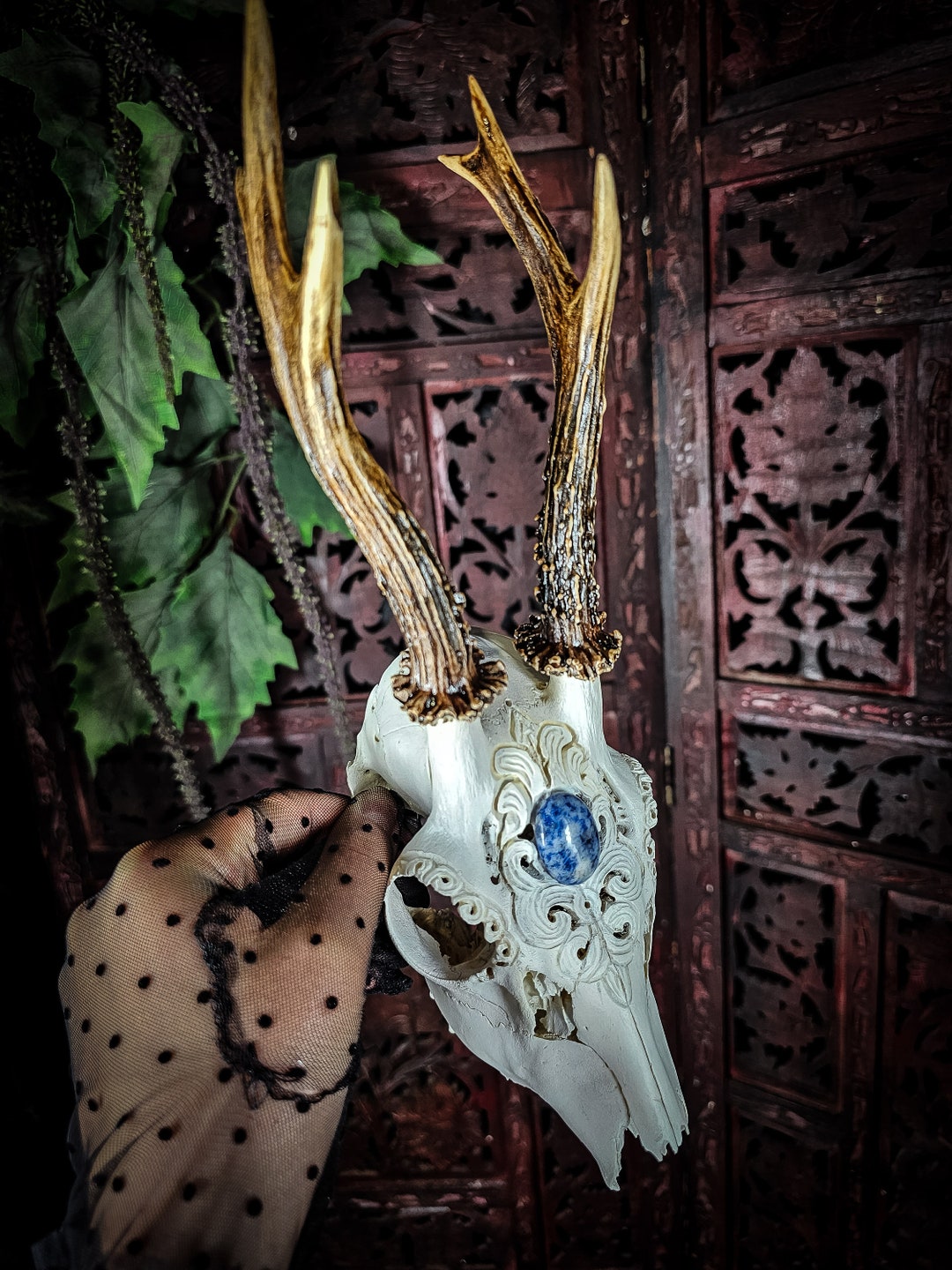 On Stock Real Engraved Roe Deer Skull With Antlers, Ornaments Filigree ...